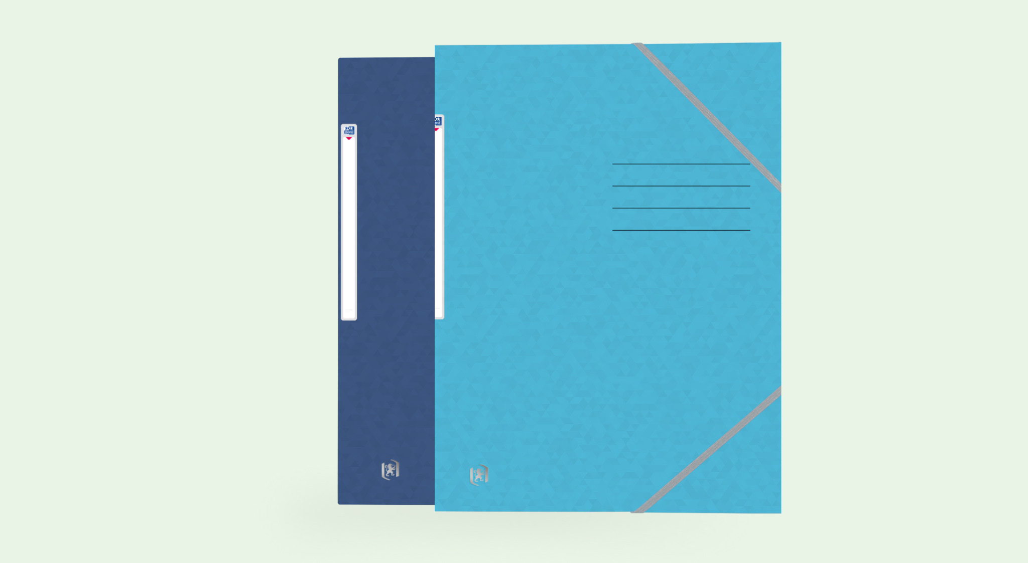 OXFORD Cahier A4+ à spirale 160 pages lignées méthode Cornell Bleu ...