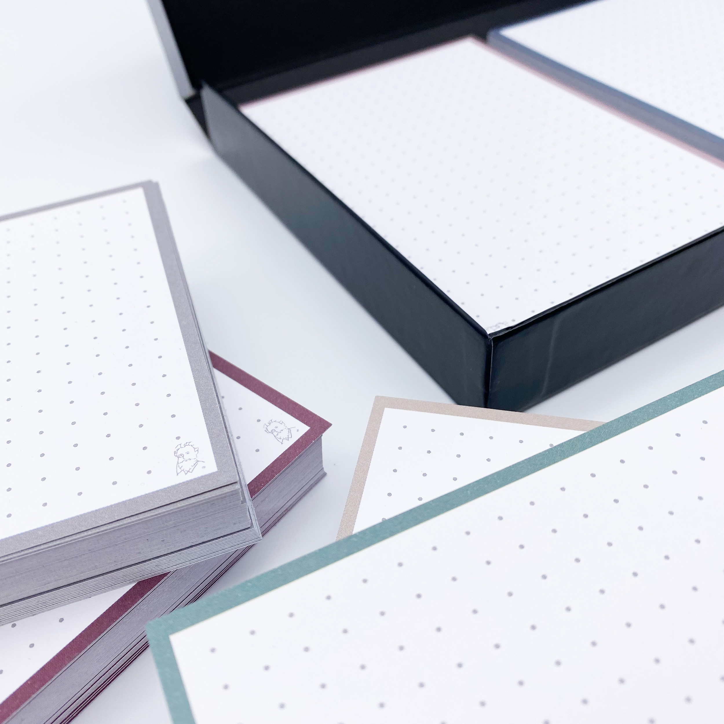 Kit MY COLOR de 300 Flashcards Leitner Edition Dots A6