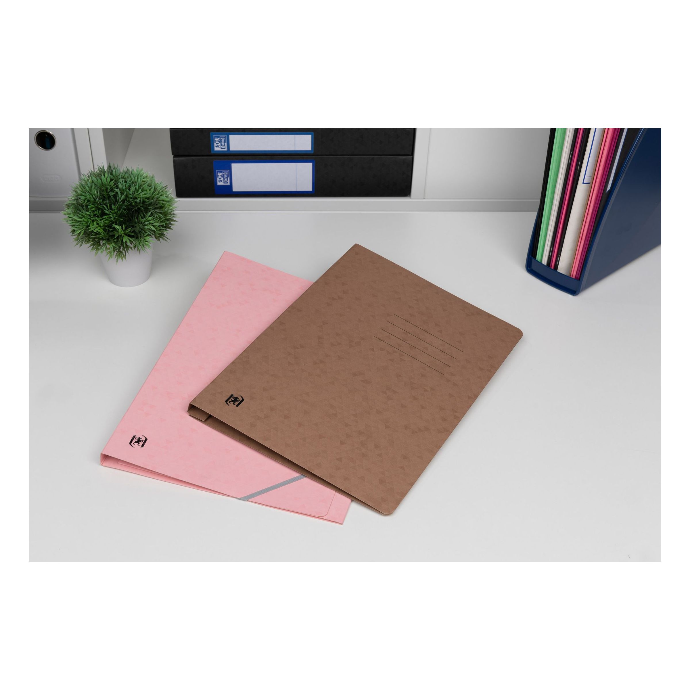 OXFORD TOP FILE+ Chemise à lamelle A4 en carte Moka