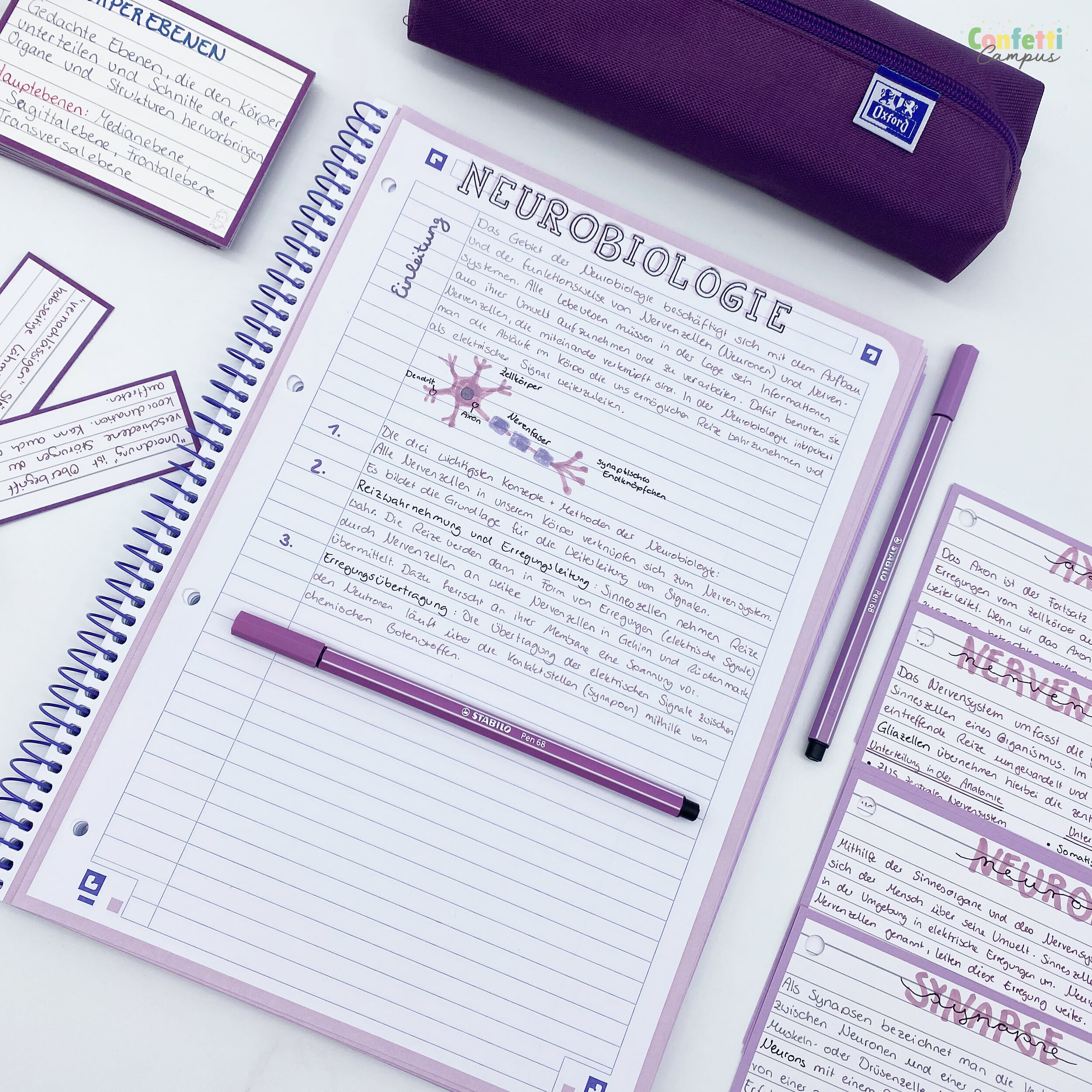 Kit Mes jolies notes de cours violettes
