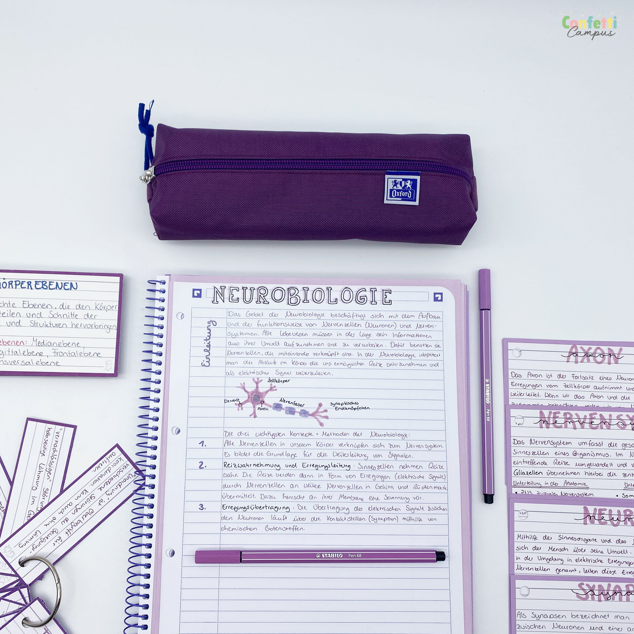 Kit Mes jolies notes de cours violettes