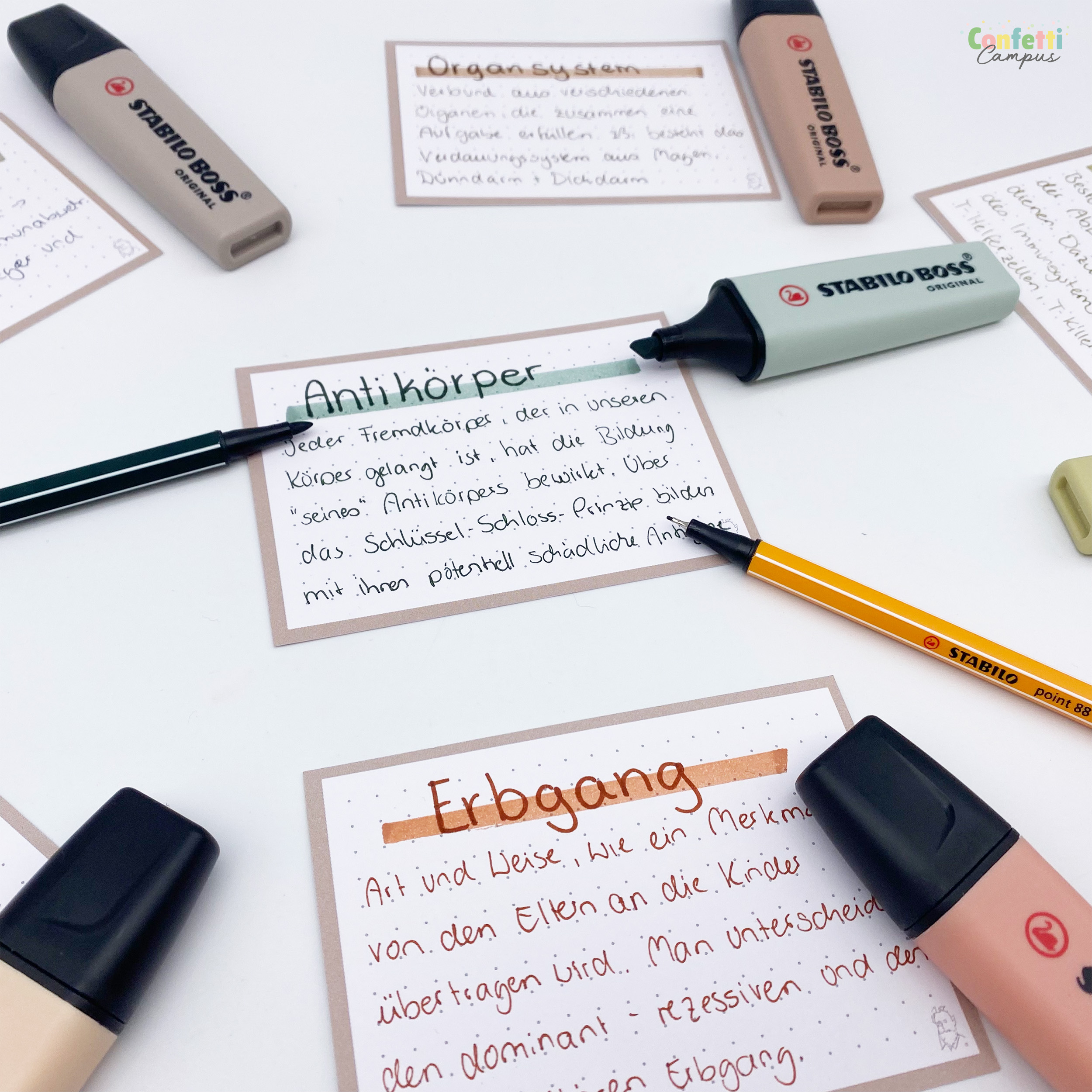 STABILO BOSS ORIGINAL NatureCOLORS Surligneurs x6