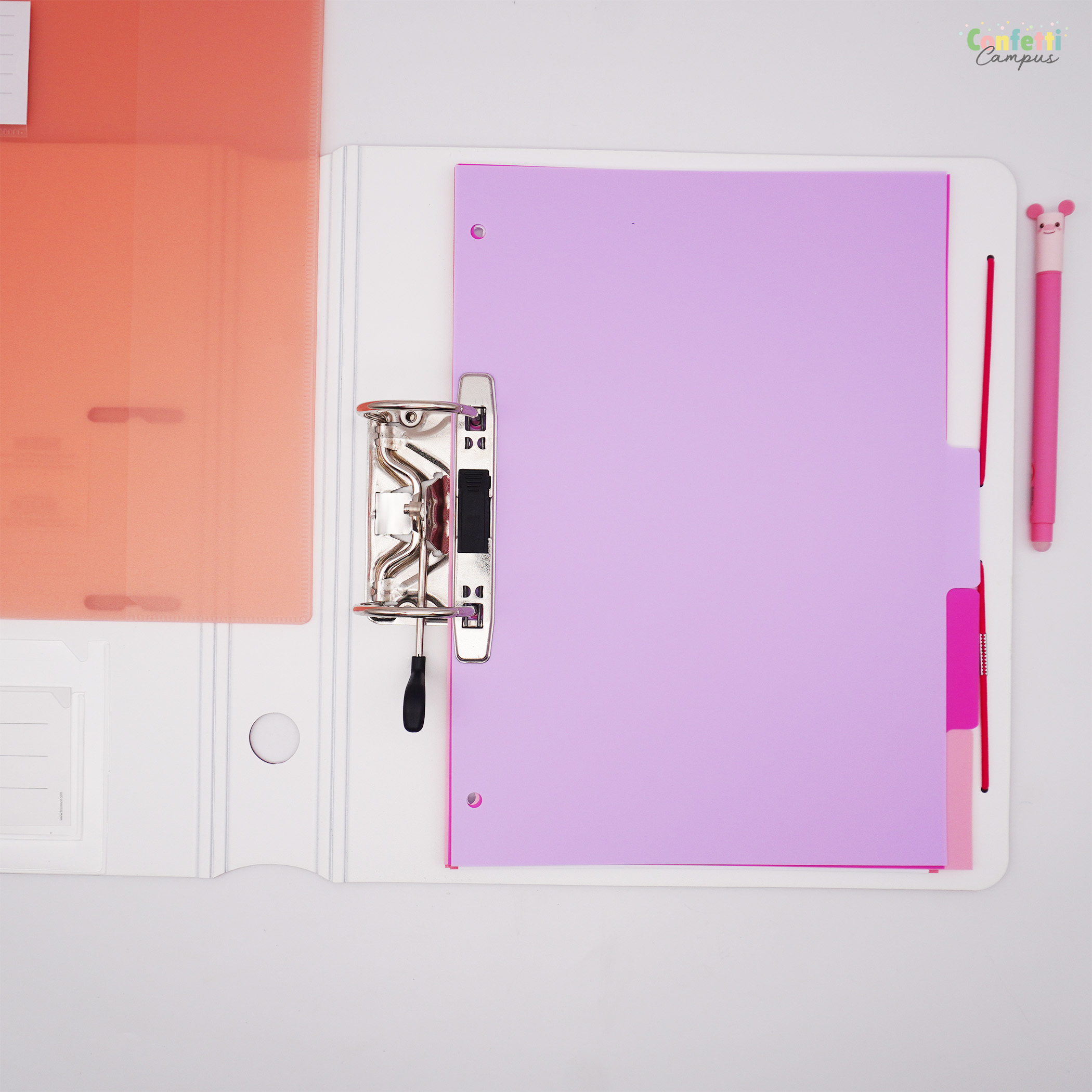 Mon organisation Skinny Note'N'File rose