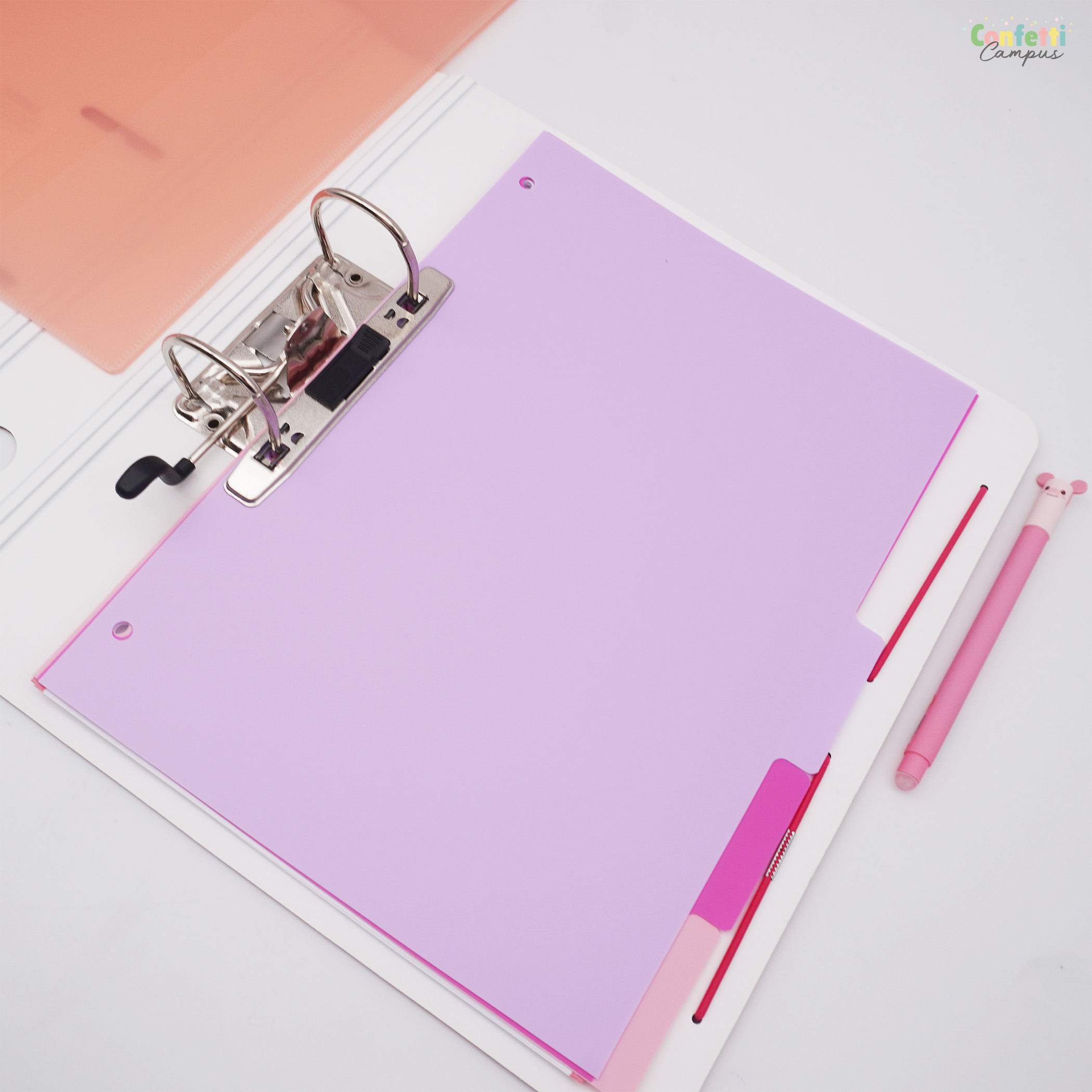 Mon organisation Skinny Note'N'File rose