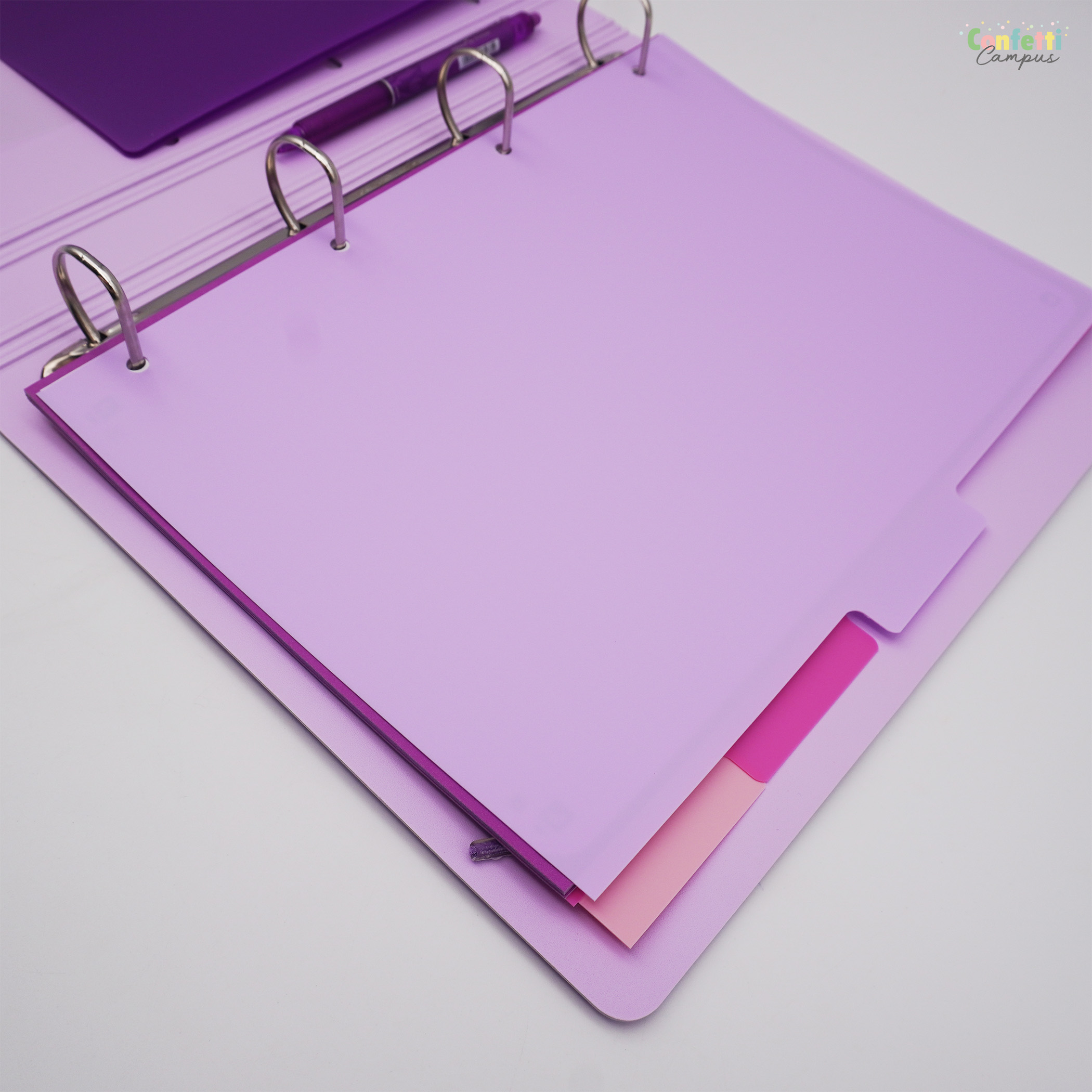 Mon organisation Skinny Note'N'File violet