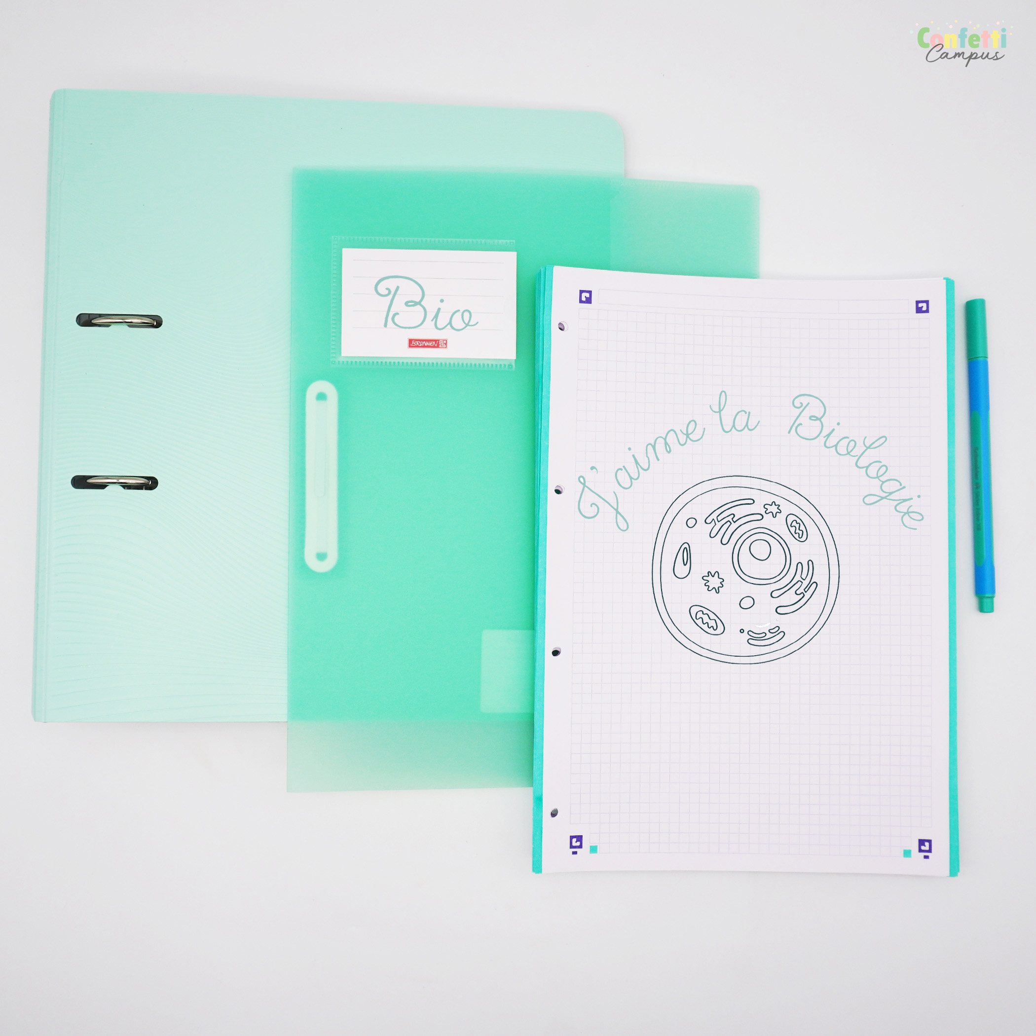 Mon organisation Skinny Note'N'File vert